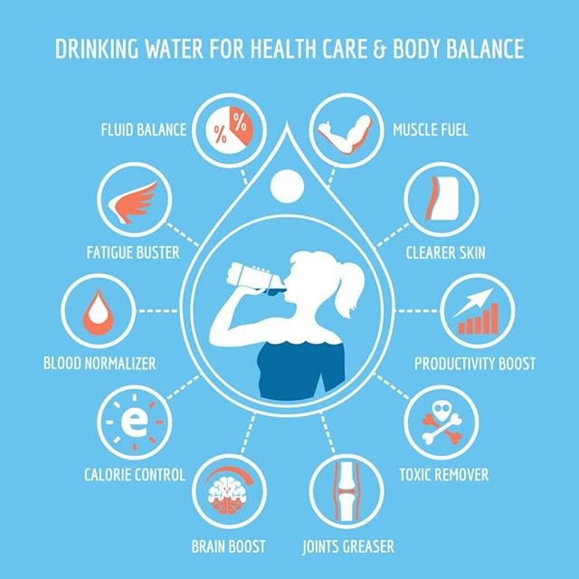 Why Drinking Water Is Important Feed Inspiration